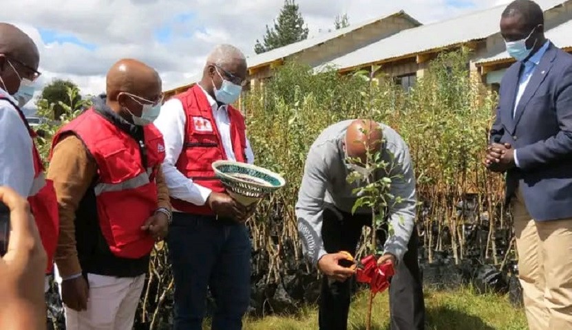 DISTRICT TO HOST NATIONAL TREE PLANTING - Lesotho News Agency